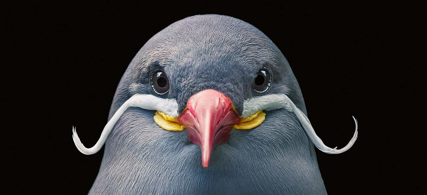 »Die Distanz verringern« – ARTE Magazin Aboshop